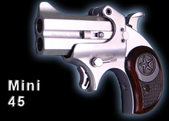Bond Arms HandGuns | Bond Arms